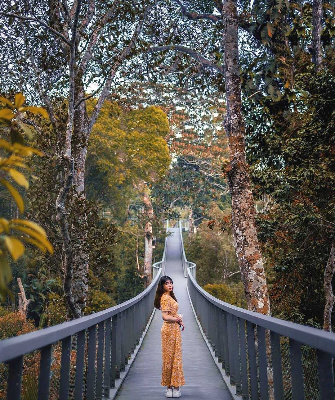 Top 4 Places Where You Can Get A Bird’s Eye View Of Penang